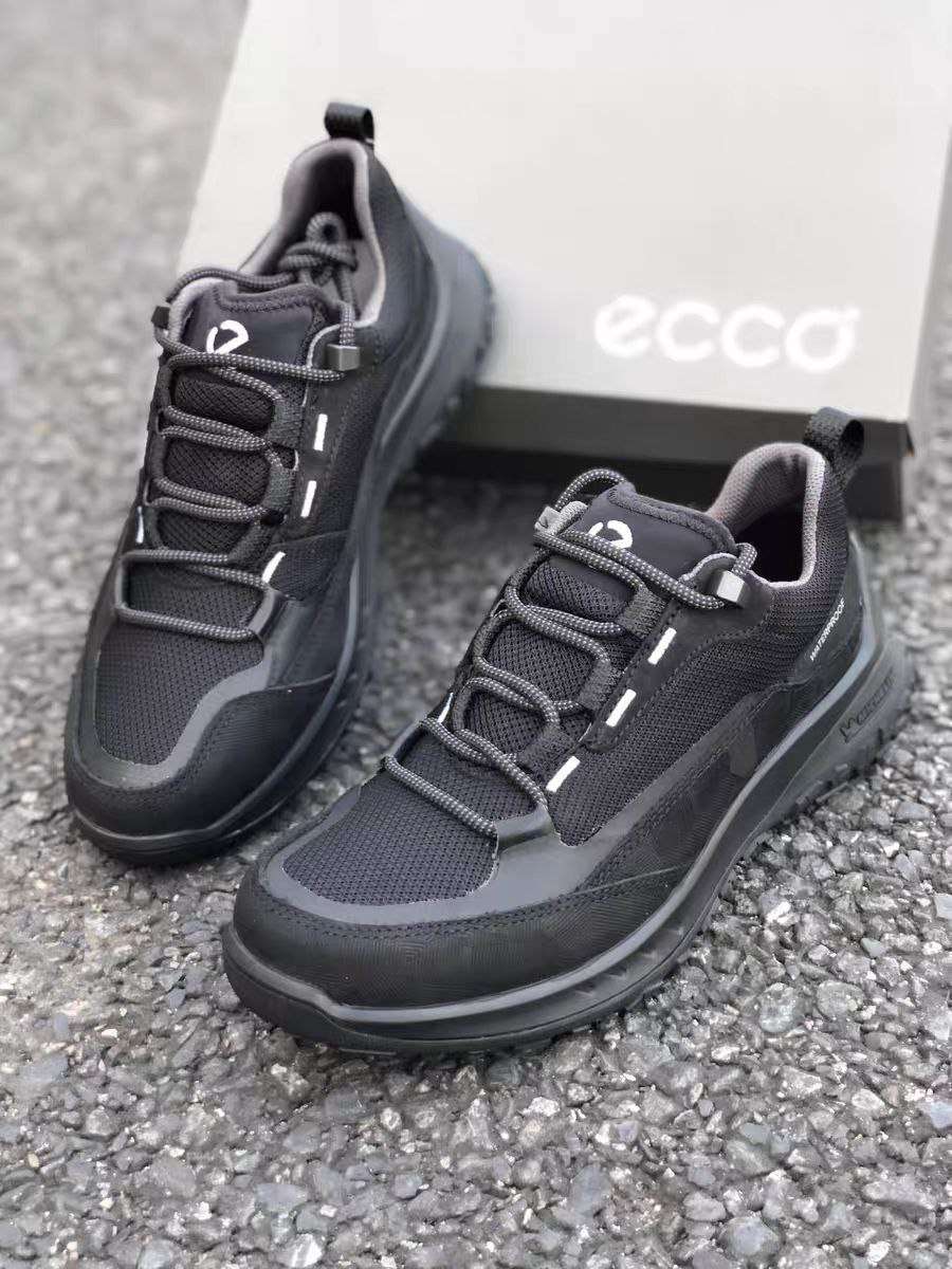 ecco 2024 | سيزما
