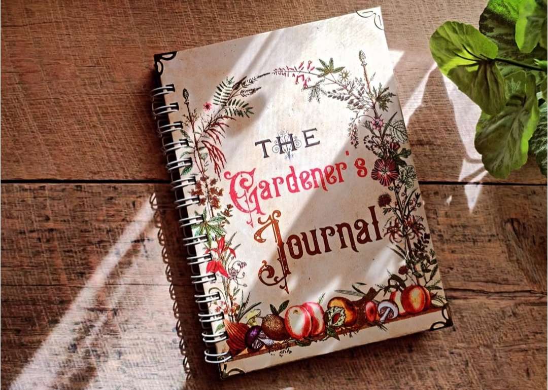 نوتبوك | سيزما