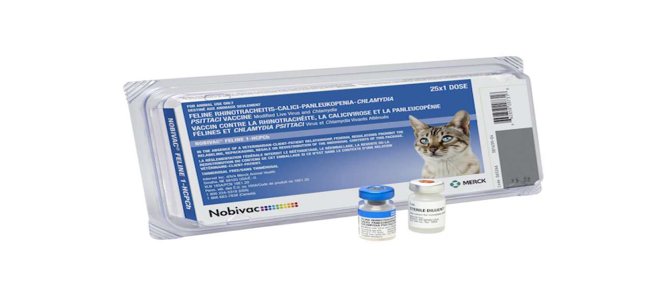 NOBIVAC Feline 1-HCPCh MSD Animal Health | سيزما